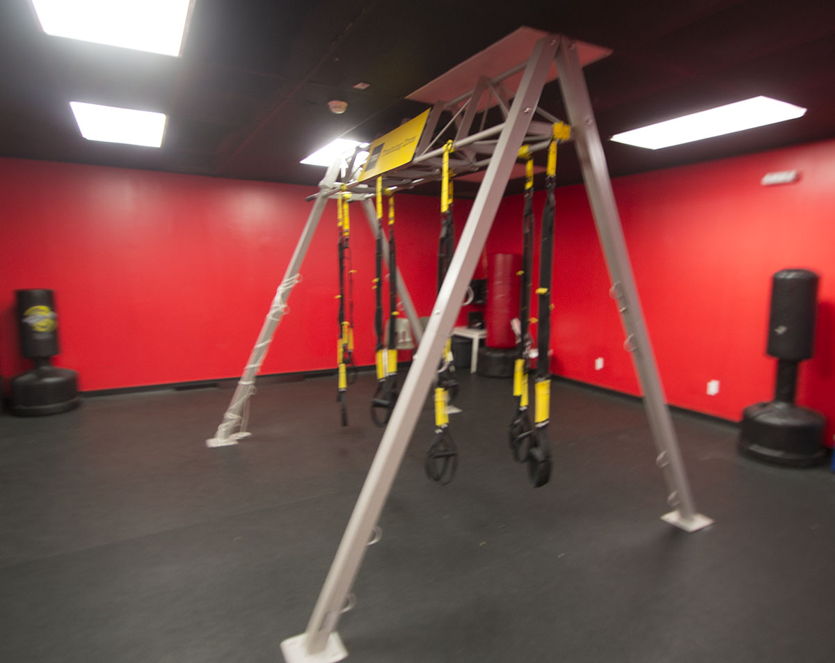 TRX Classes at Port Washington NY, Glenn Cove NY, East Hills NY, Roslyn ...
